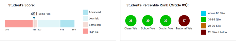 Understanding the Individual Skills Report for aMath™ and aReading ...
