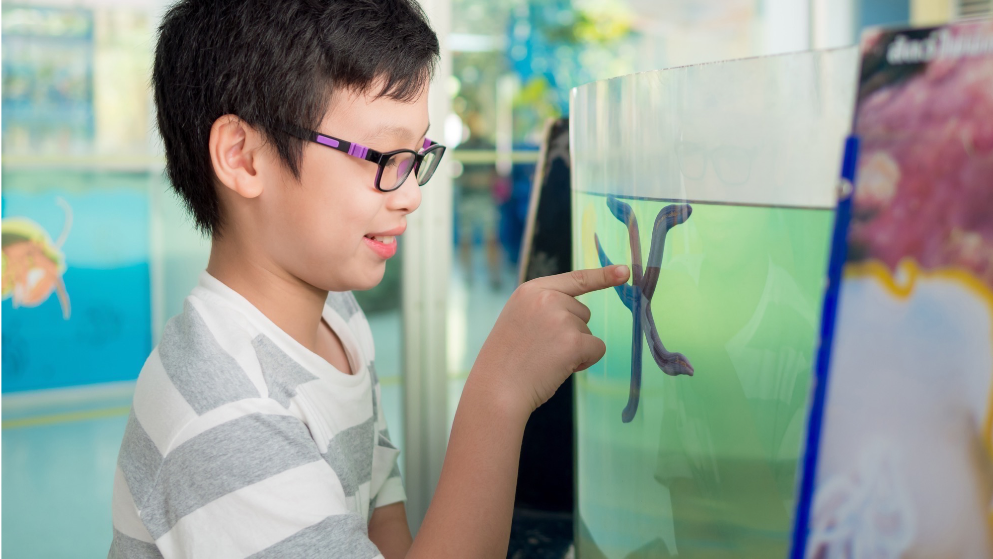 How to Grow Data Literacy for Whole Child Data - Illuminate Education
